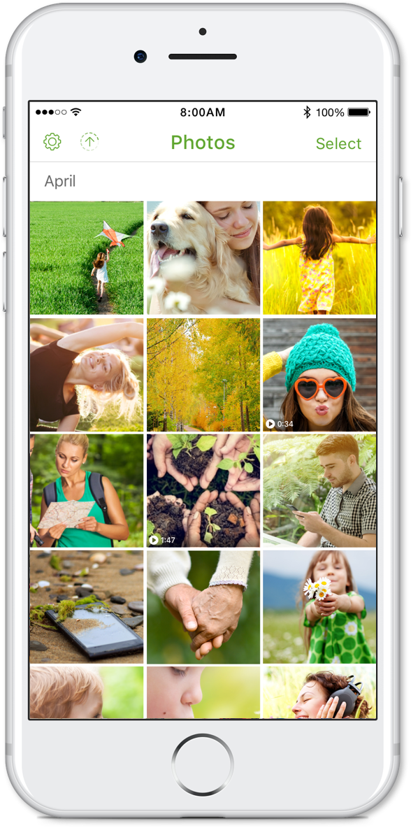 Cricket Photo Storage